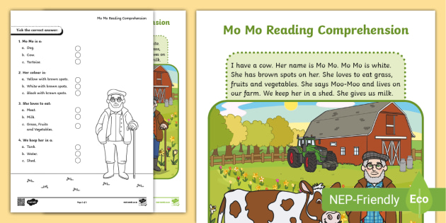 Mo Mo Reading Comprehension (teacher made)