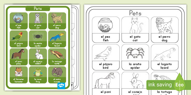 Pets English/Spanish Matching Cards (teacher made)