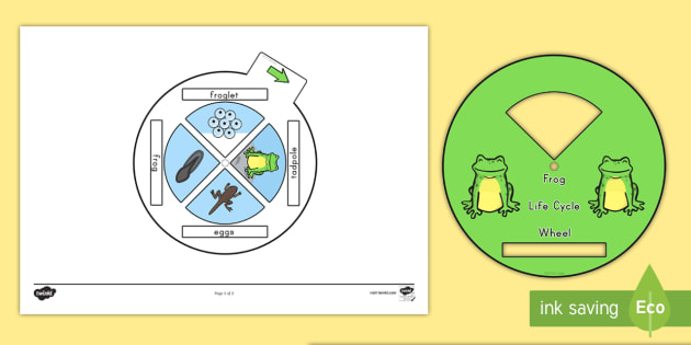 Frog Life Cycle Spin Wheel Cut-Outs - frog, life cycle, cut