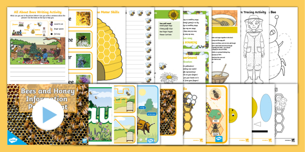 All About Bees Resource Pack (teacher made)