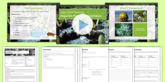 Germination Lessons | twinkl.co.uk
