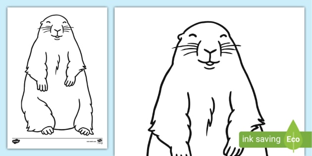 Gopher Colouring Sheet - Primary Resources