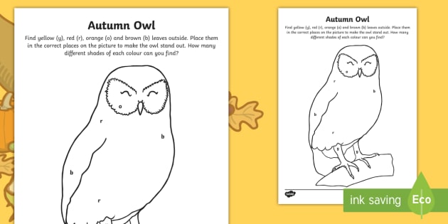Autumn Owl Art Outdoor Worksheet / Worksheet (teacher made)