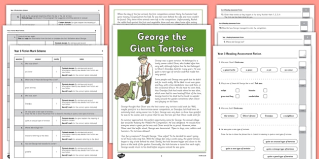 Year 3 Term 1 Fiction Reading Assessment (teacher made)