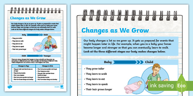 Changes as We Grow Fact File (teacher made)
