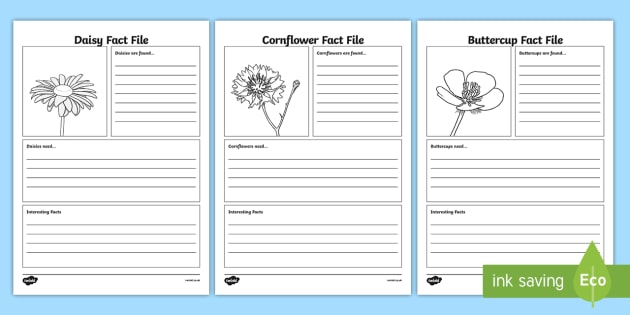 Flower Fact File Sheets For Children Primary Resources