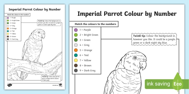 FREE! - Imperial Parrot Colour by Number (teacher made)