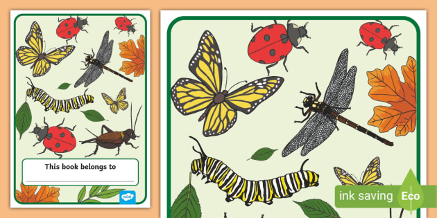 FREE! - Insects Themed Book Cover (teacher made)