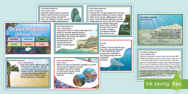 Ocean Habitats Challenge Cards | Homeschooling Resources
