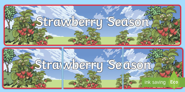 Strawberry Season Banner - strawberries, strawberry plants