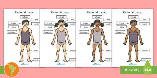 Pósters: Partes del cuerpo