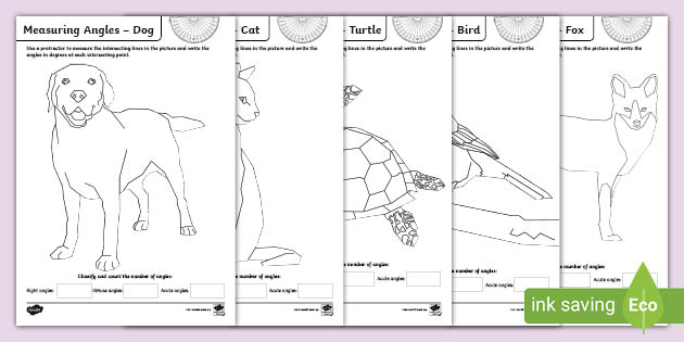 Measuring Angles in Pictures (teacher made)