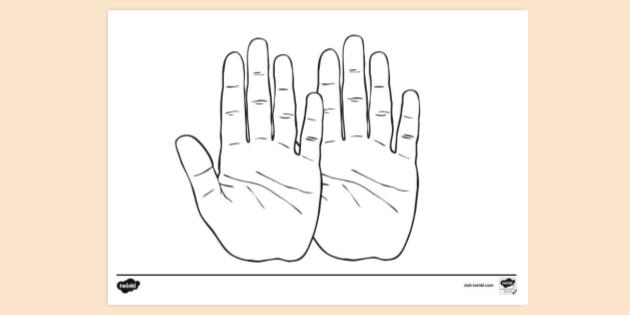 FREE! - Book of Job Colouring | Colouring Sheets