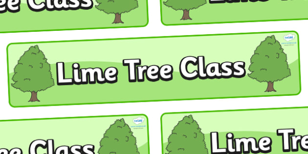 Lime Tree Themed Classroom Display Banner
