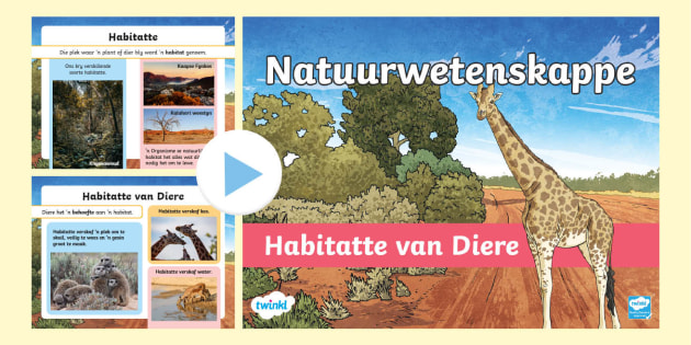 Les 3 - Habitatte van Diere (Powerpoint) (teacher made)