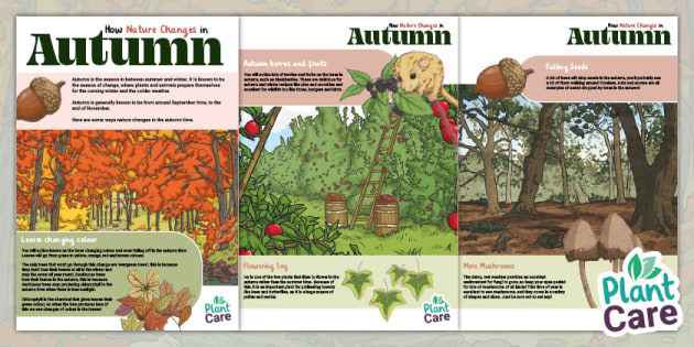 How Nature Changes in Autumn | Autumn Plantcare