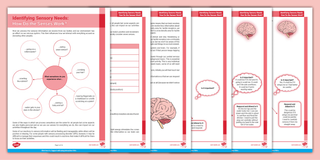 Identifying Sensory Needs: How Do the Senses Work? Identifying Sensory Needs: How Do the Senses Work?