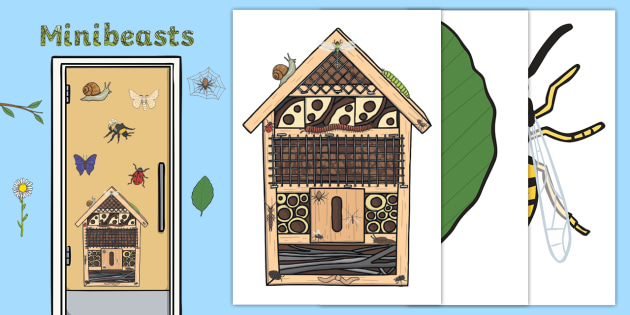 Minibeasts Door Display Pack | Classroom Resources