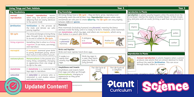 Living Things Knowledge Organisers | twinkl.co.uk
