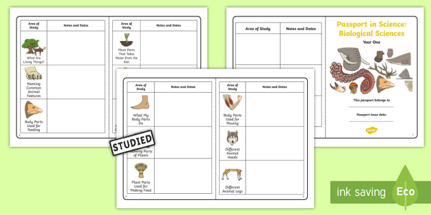 Year 1 Biological Sciences Passport Booklet (teacher made)