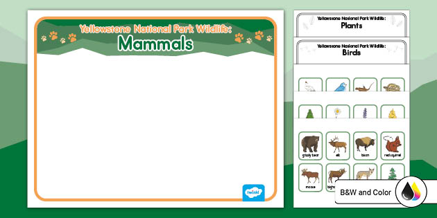 Yellowstone National Park Wildlife Sorting Activity Mats