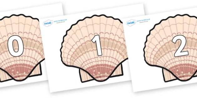 FREE! - Numbers 0-50 on Seashells (Teacher-Made)