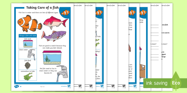KS1 How to Look After a Fish Differentiated Reading Comprehension Activity