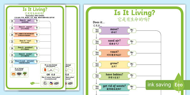Is It Living or Non-Living? Display Poster - English/Mandarin Chinese