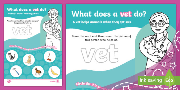 What Does a Vet Do? Activity Sheet (teacher made)