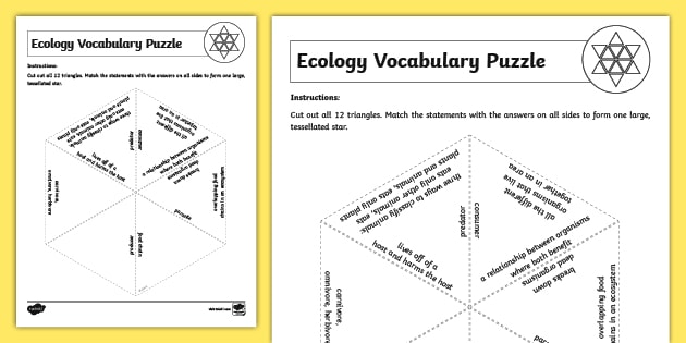 Ecology Vocabulary Puzzle Vocabulary Puzzle (teacher made)