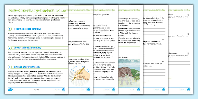 Reading Comprehension Activities | twinkl.co.uk