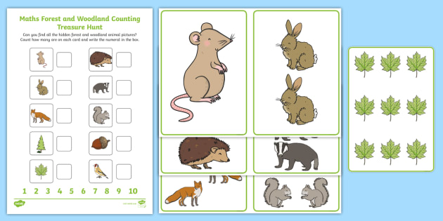 Maths Forest and Woodland Counting Treasure Hunt Activity