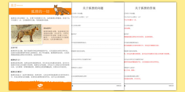 狐狸阅读理解 (teacher made)