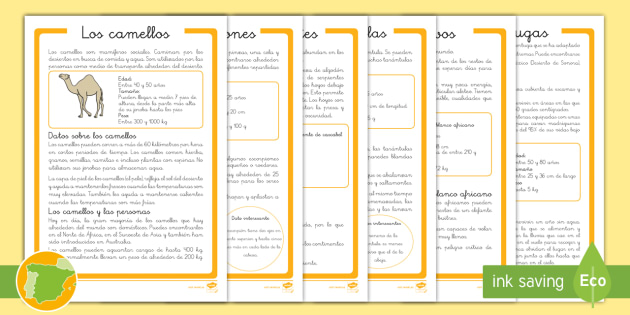 Hojas De Trabajo Sobre El Desierto Diseño De Impresión Paisaje De