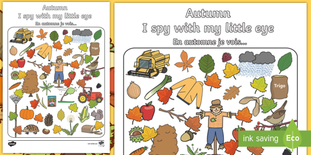 I Spy With My little Eye Worksheet / Worksheet English/French