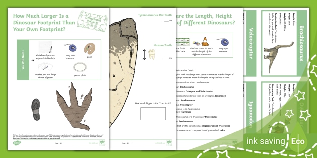 Measuring Dinosaurs Fact Cards and Activity - Twinkl