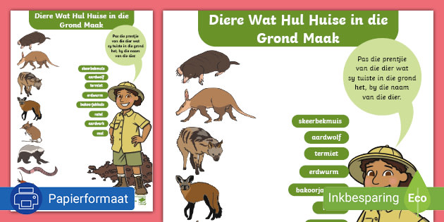 Diere Wat Hul Huise In die Grond Maak Aktiwiteit