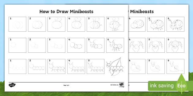 How to Draw Minibeasts Worksheets