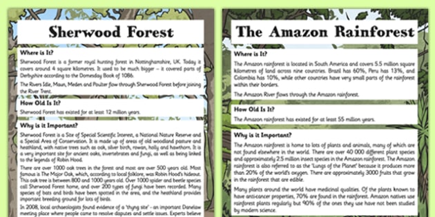 Forest Fact Sheets (teacher made)