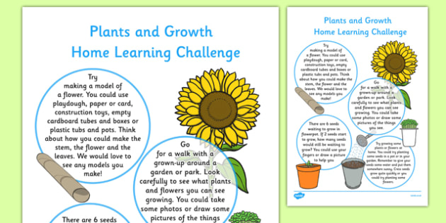 EYFS Plants and Growth Home Learning Challenge Sheet Nursery FS1