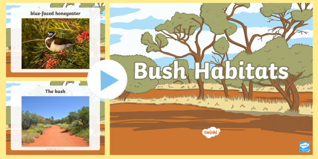 Bush Habitat Photo PowerPoint (teacher made)