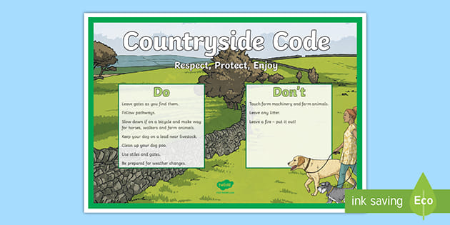 KS2 Countryside Code Poster (teacher made)