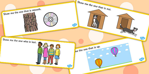 Show Me The Basic Concept Cards Set Two (teacher made)