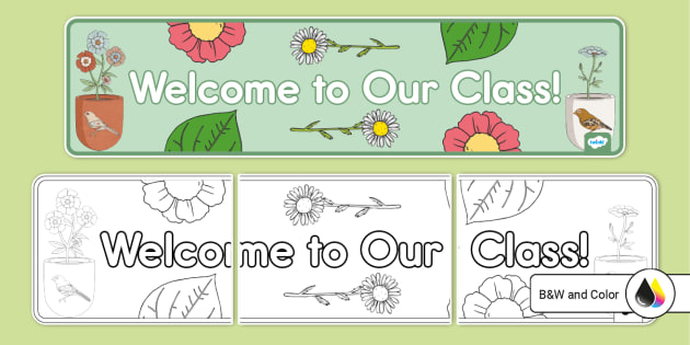 Welcome to Our Class Banner (teacher made)