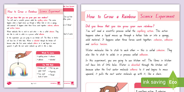 How to Grow a Rainbow Science Experiment (teacher made)
