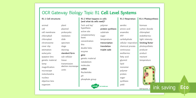 OCR Gateway Biology Cell Level Systems Word Mat