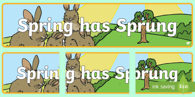 Spring Aistear Spring has Sprung Display Banner