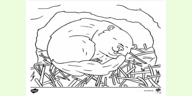 Groundhog Hibernating in Burrow Colouring Sheet