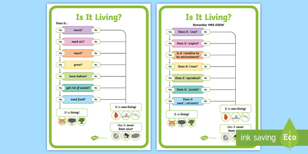 * NEW * Is It Living or Non-Living? Display Poster