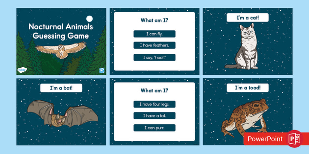 Nocturnal Animals Guessing Game PowerPoint (teacher made)